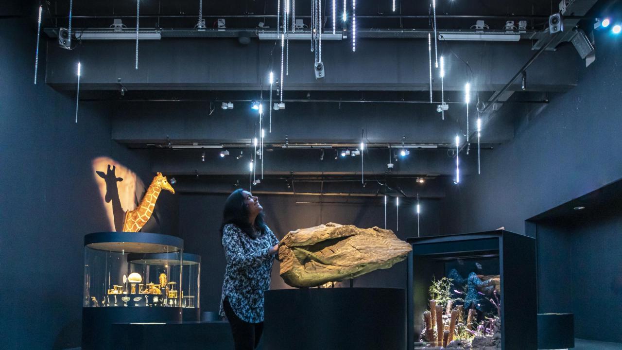 Evolutie | Naturalis